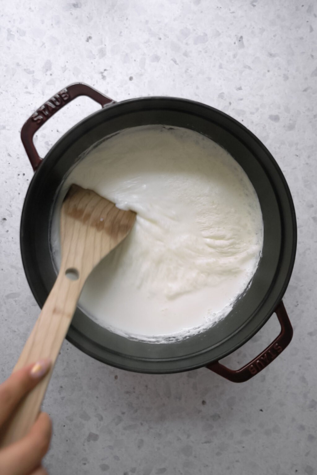 How to make Dahi (Indian Curd Yogurt) - Masala and Chai