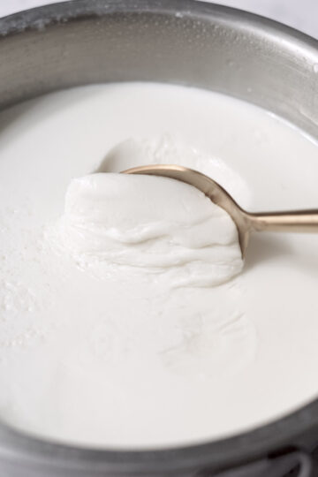 How to make Dahi (Indian Curd Yogurt) - Masala and Chai