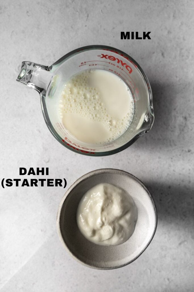 How to make Dahi (Indian Curd Yogurt) - Masala and Chai
